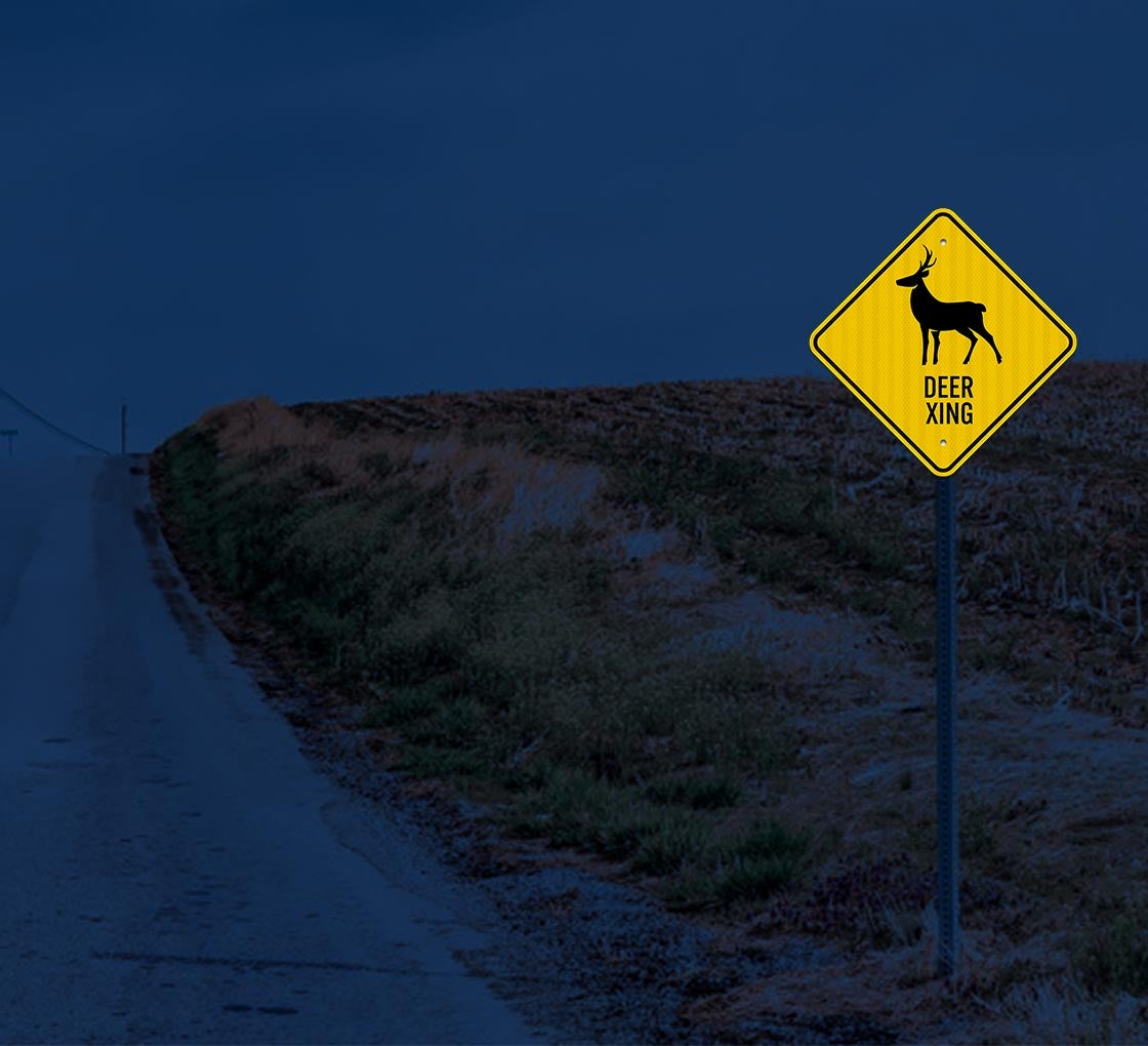 Road Sign Deer