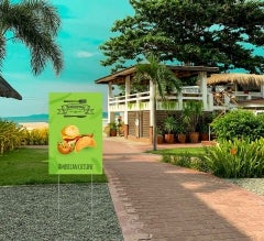 Cheap Banners & Signs, Banner Printing Online - Best of Signs