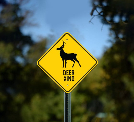 Deer Xing Sign